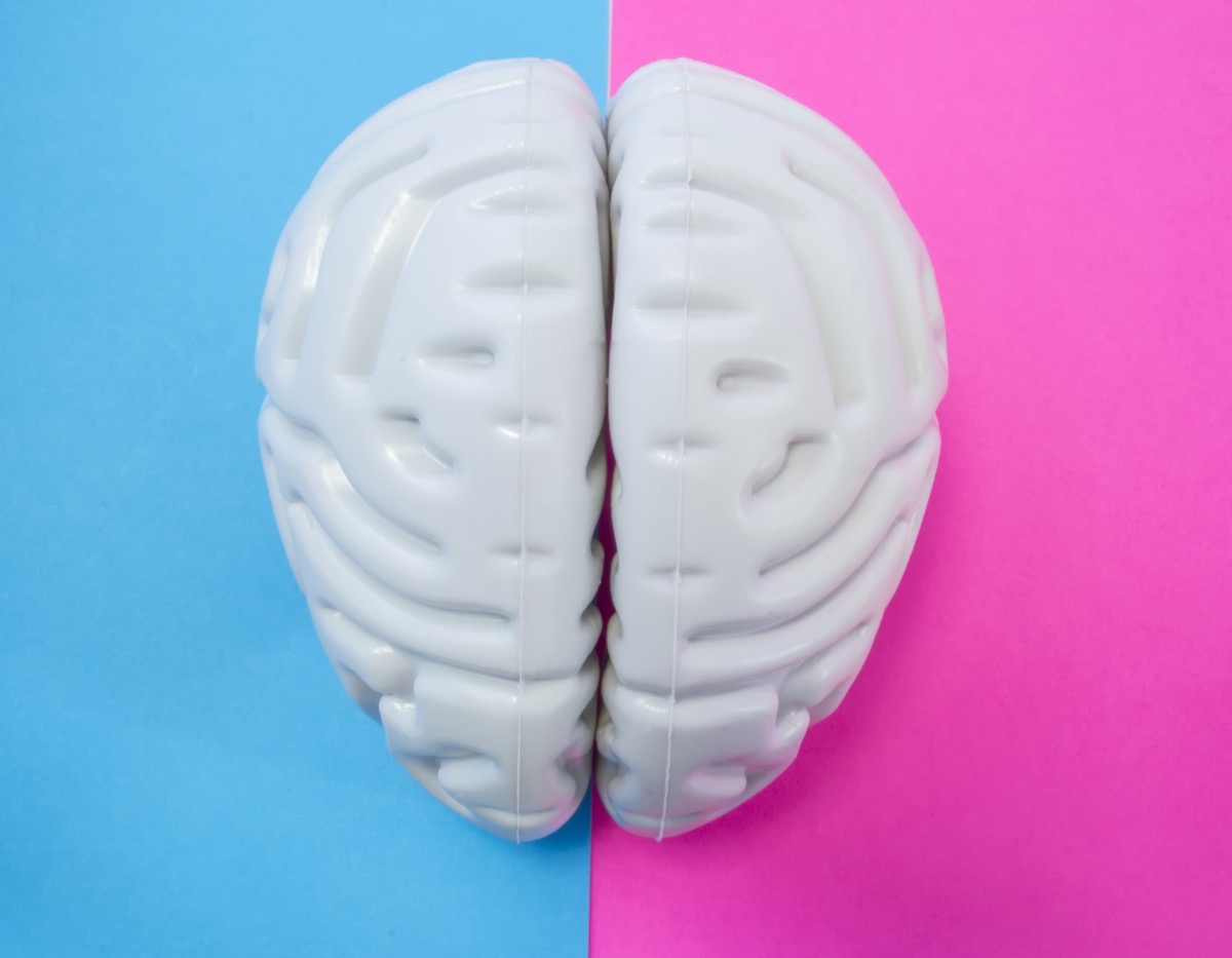 The Principle of Gender – zenstructions